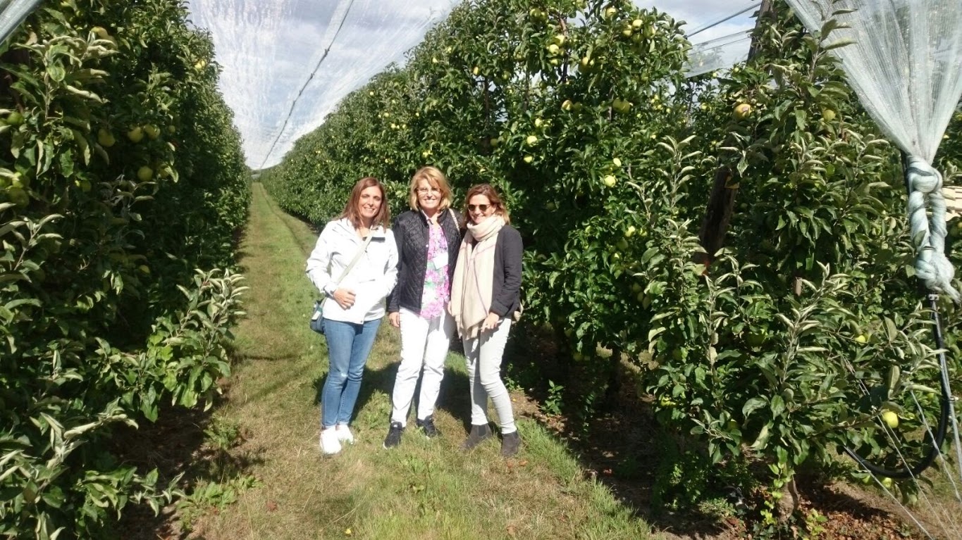 Conociendo las Manzanas Perlim - El blog de Frutas Mora